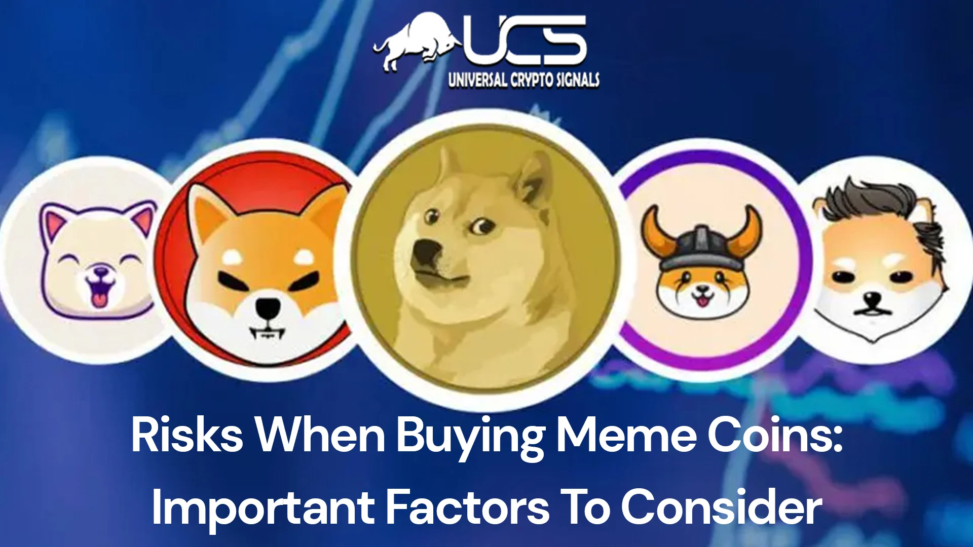 Investing in Meme Coins? Important Risks to Know Universal Crypto Signals